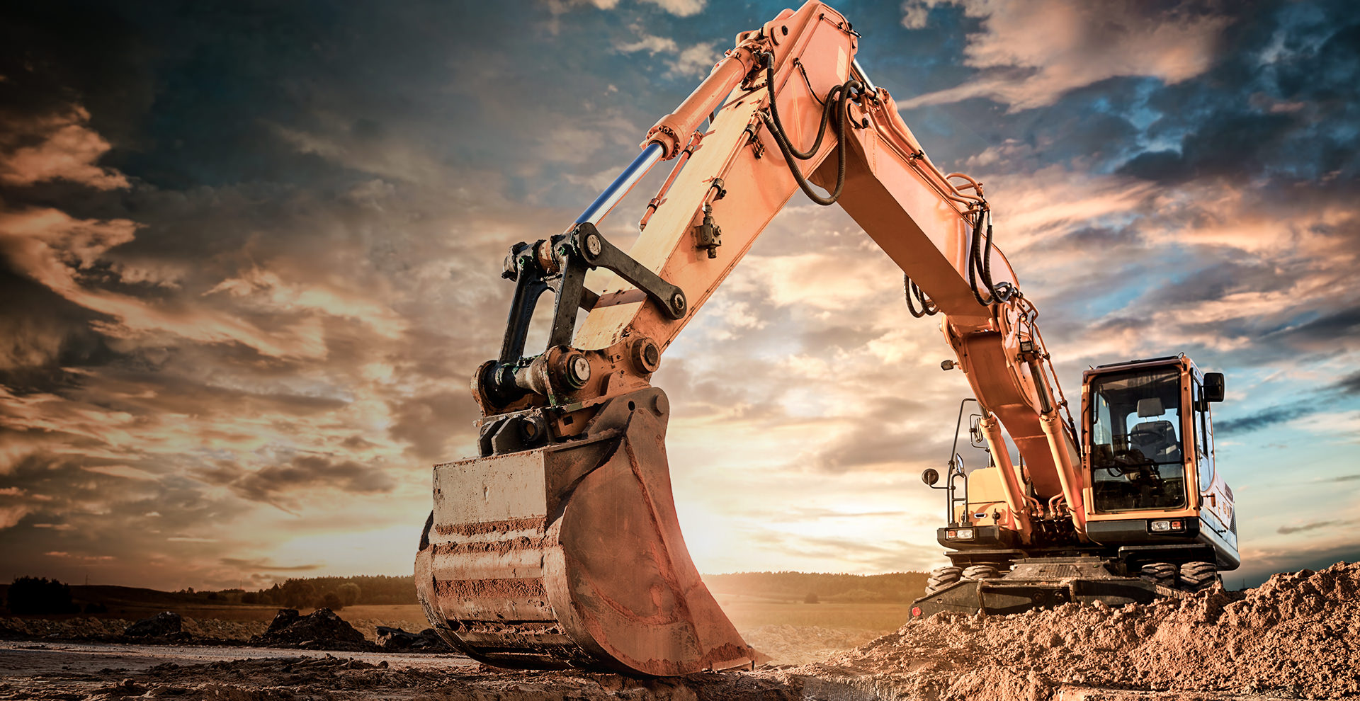 COMMODITY – BASUMATI GROUP